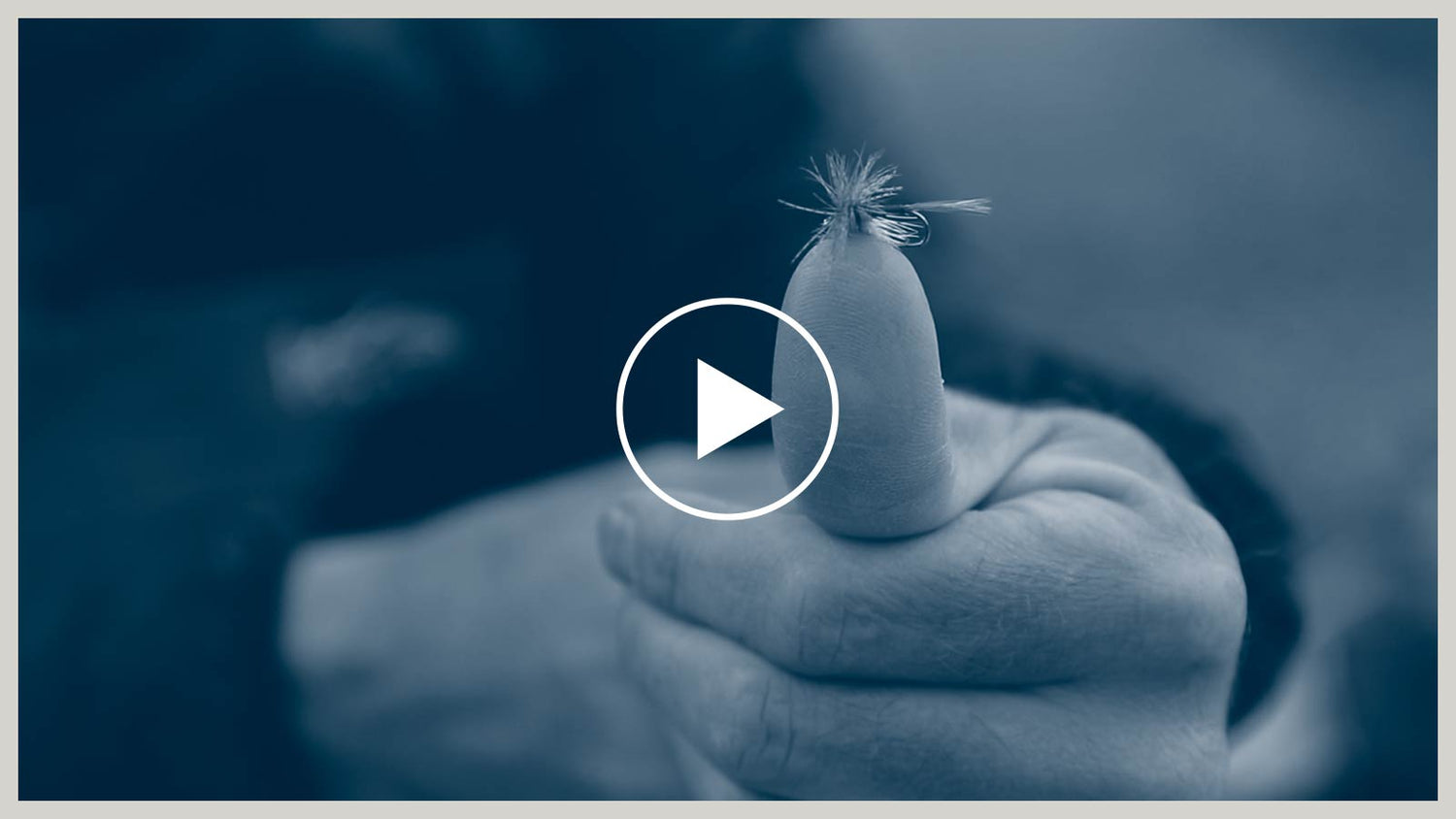 Entomology Lesson of River Insects – Postfly